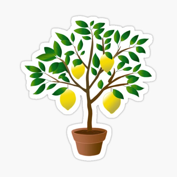 "Lemon tree" Sticker for Sale by The25Store | Redbubble