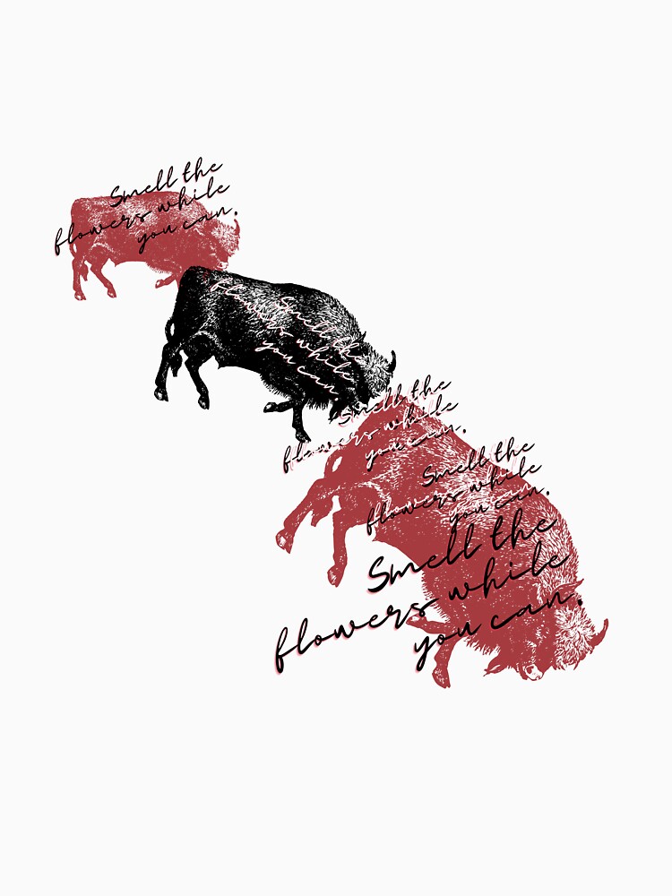 "David Wojnarowicz Buffalo Jump Smell the Flowers While You Can ...