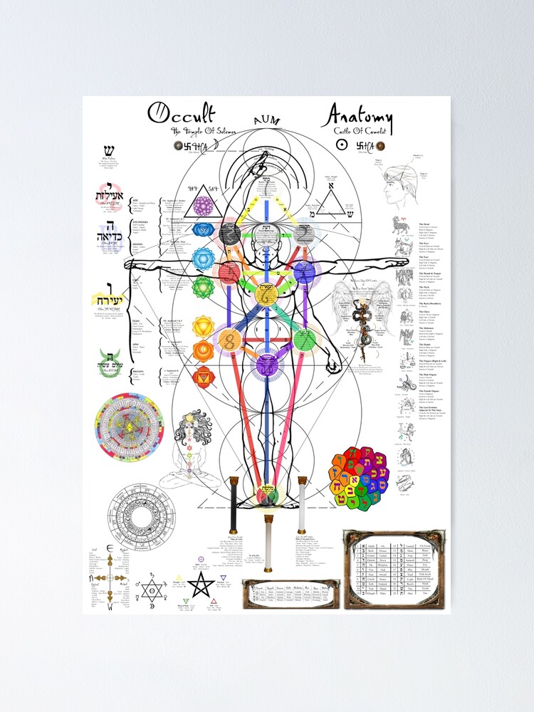 "Occult Anatomy " Poster for Sale by Blackvladimir | Redbubble
