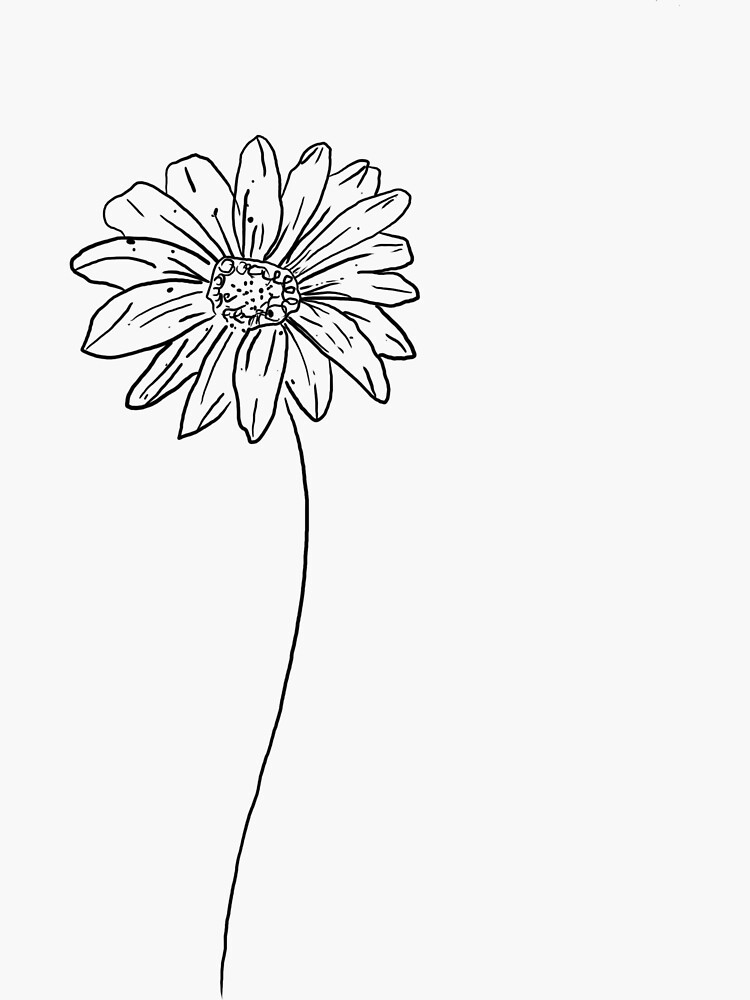 "Daisy line drawing" Sticker for Sale by BeauxBotanicals | Redbubble