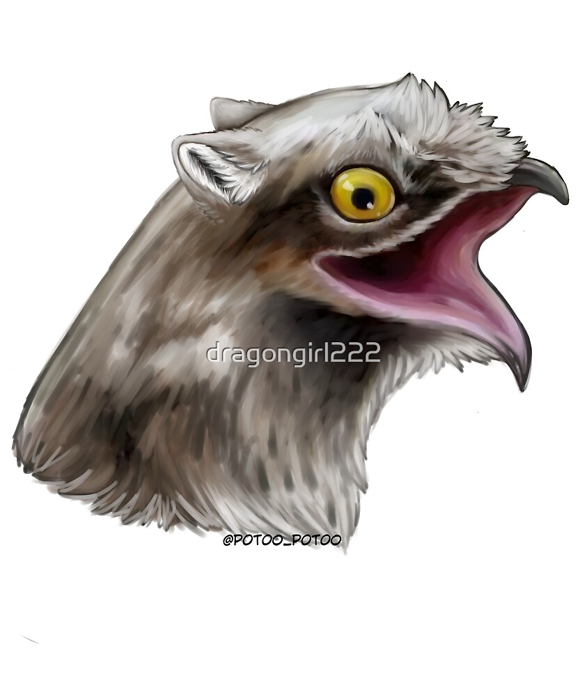 "Potoo bird cat" by dragongirl222 | Redbubble