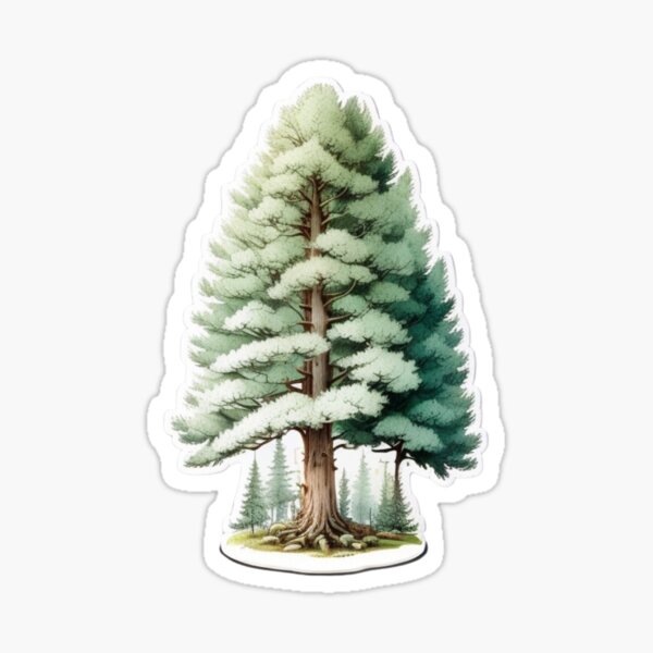 "Cedar" Sticker for Sale by JennAshton | Redbubble