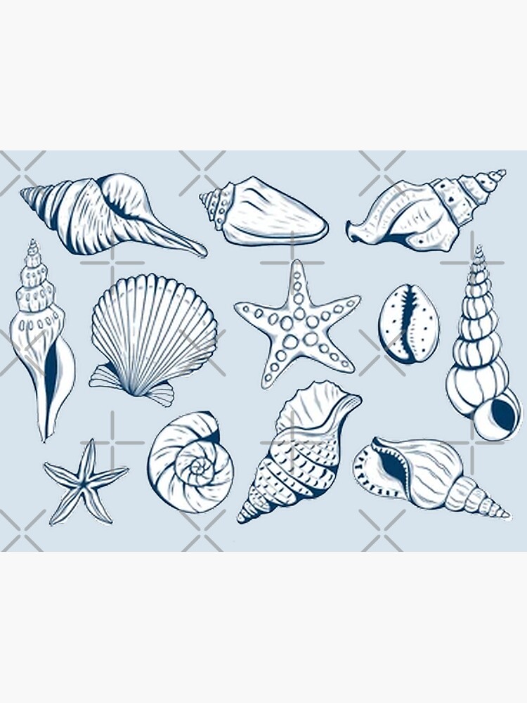 "~ SEA SHELL FOSSIL sticker pack ~" Poster for Sale by Rodayna Elnaggar ...