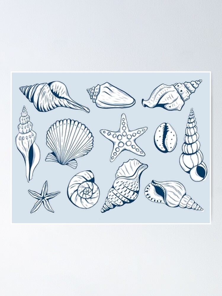 "~ SEA SHELL FOSSIL sticker pack ~" Poster for Sale by Rodayna Elnaggar ...