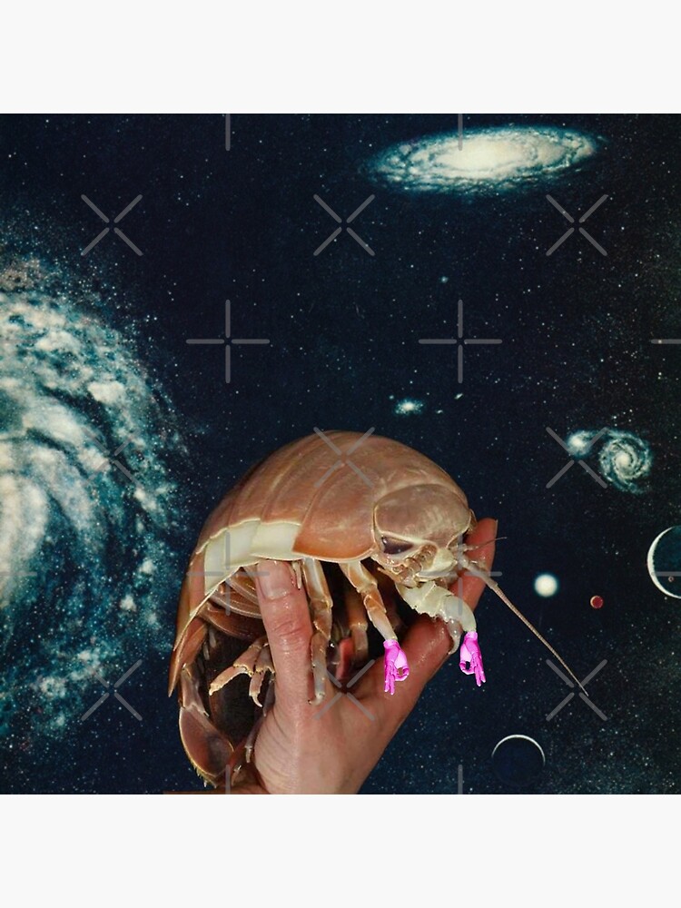 "Isopod Meme" Poster for Sale by duwangclothing | Redbubble