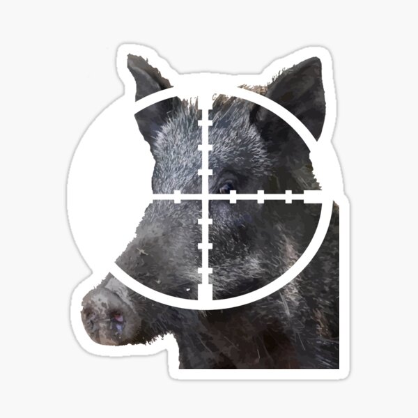 "Hog Hunting Wild Boar In Scope Vector Art 1" Sticker for Sale by ...