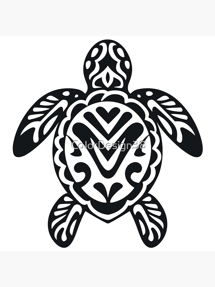 Black And White Sea Turtle Clipart