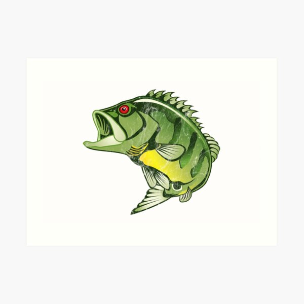 "Peacock Bass " Art Print by Marshalgon | Redbubble