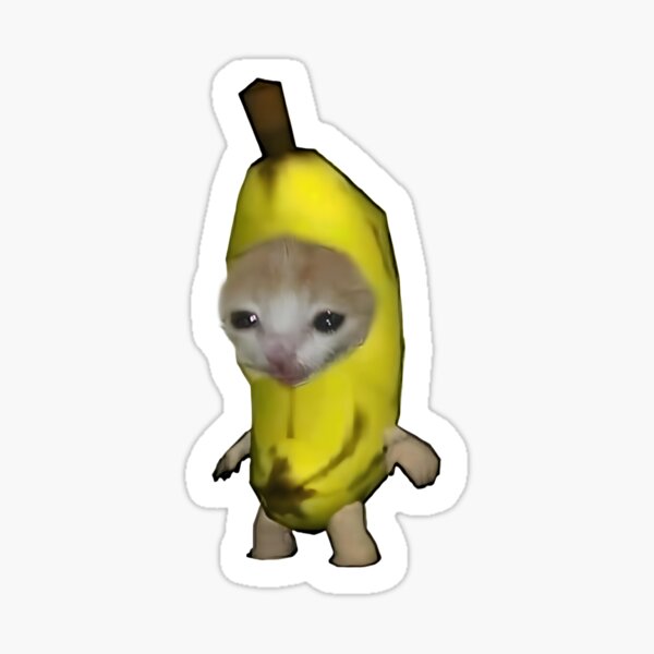 "banana cat meme Sticker" Sticker for Sale by ice47 | Redbubble