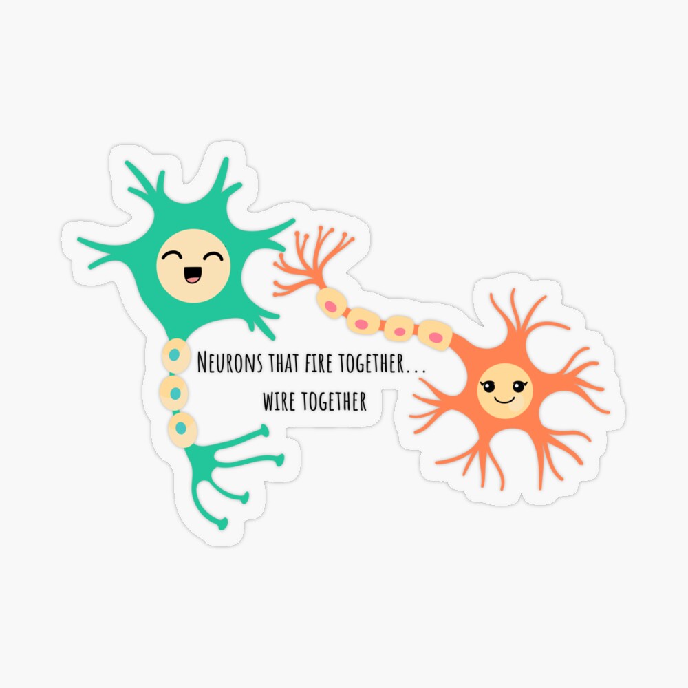 Neurons On Pinterest Neural Oscillation Wikipedia