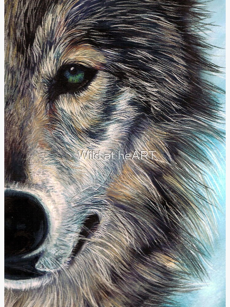 "Blue Wolf" Art Board Print for Sale by Carmen Owen | Redbubble