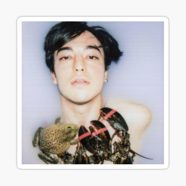 Joji Stickers | Redbubble