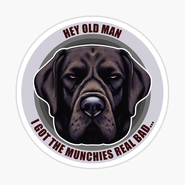 "Black Labrador Dog With The Munchies Grumpy Face Funny" Sticker for ...