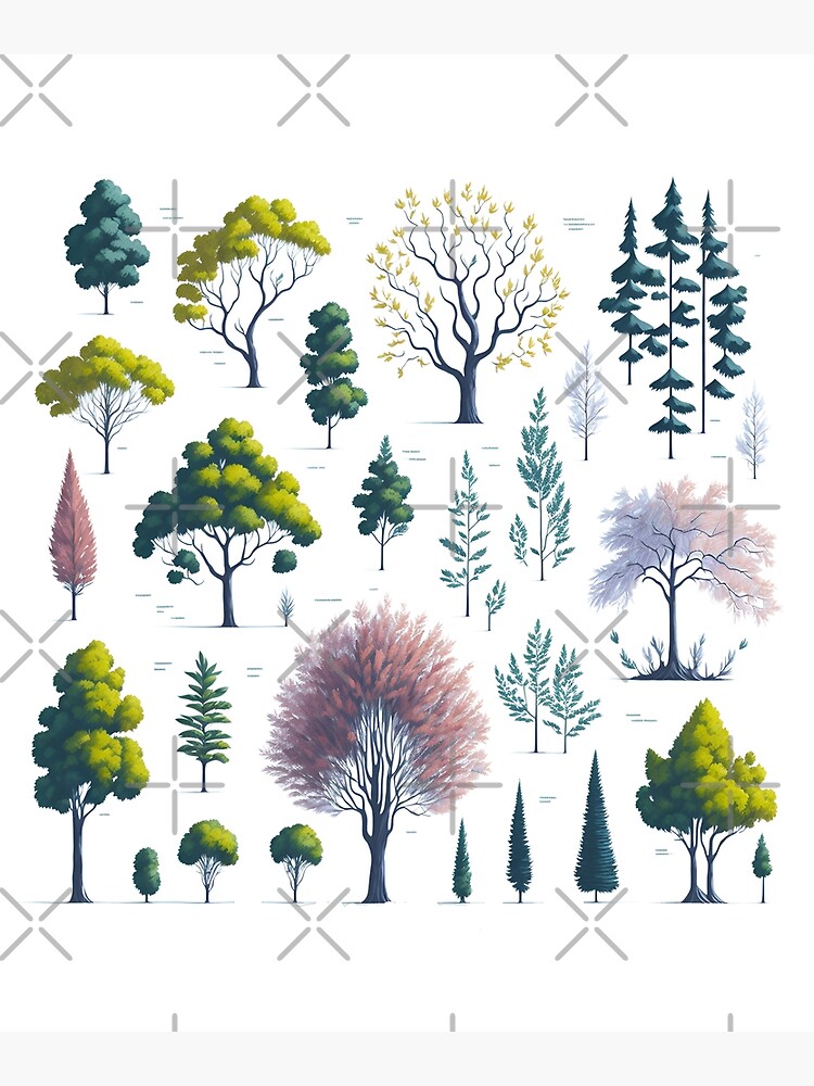 "Different types of trees" Poster by CreacionesLavin | Redbubble