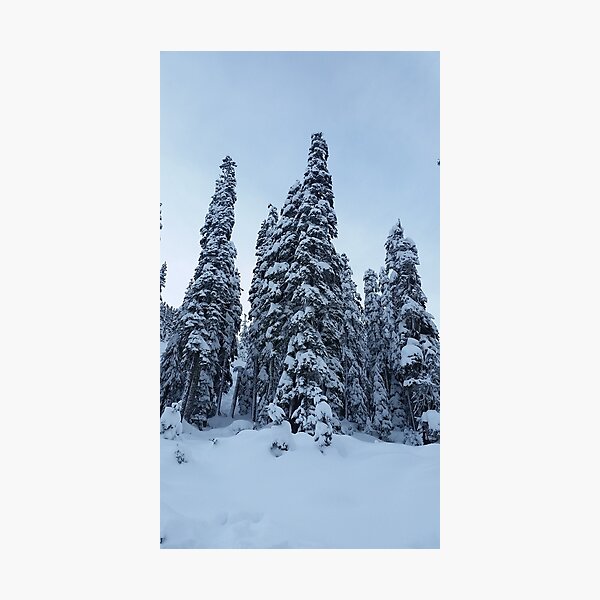 Alpental Gifts & Merchandise for Sale | Redbubble