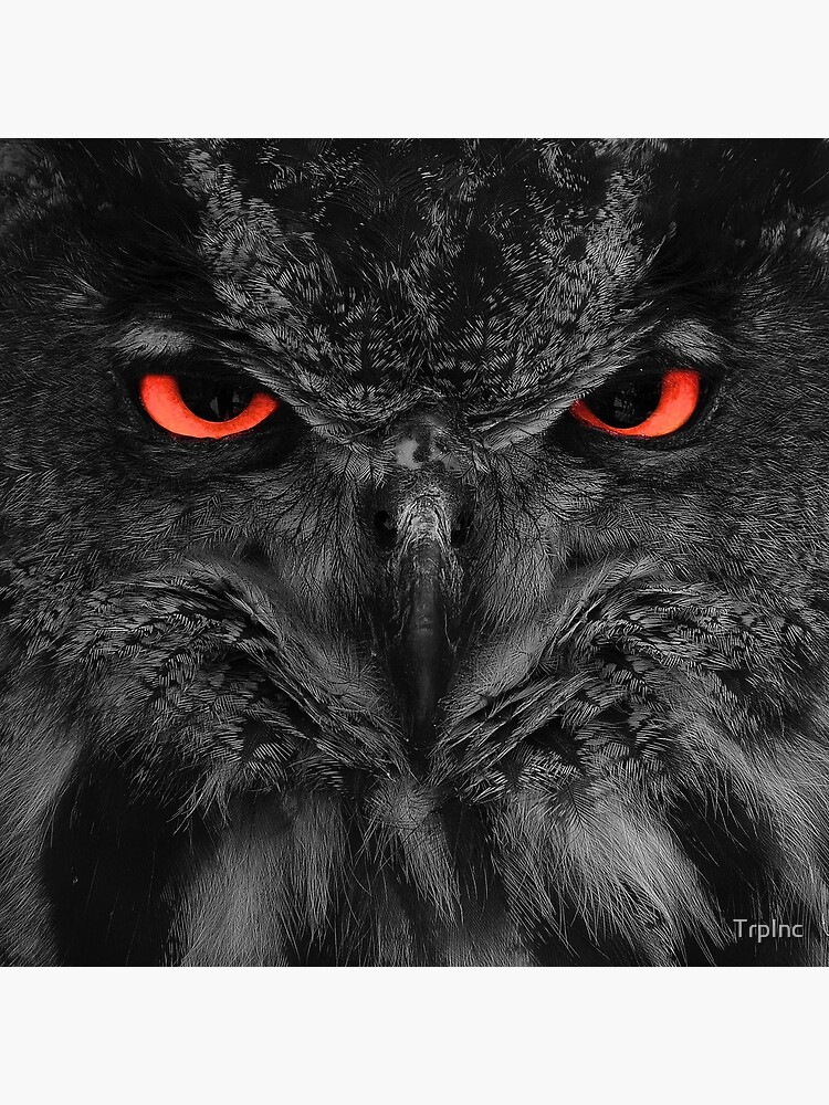 "Dark owl" Art Print for Sale by TrpInc | Redbubble