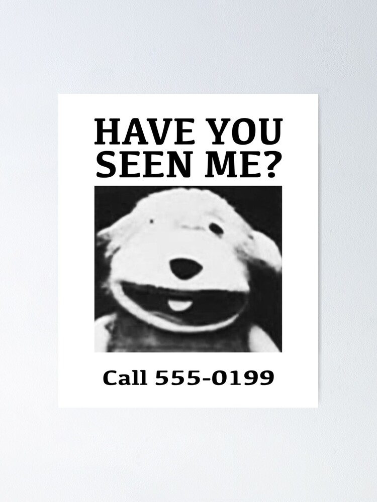 "Have You Seen Mr. Pookie?" Poster for Sale by evenstevensrank | Redbubble