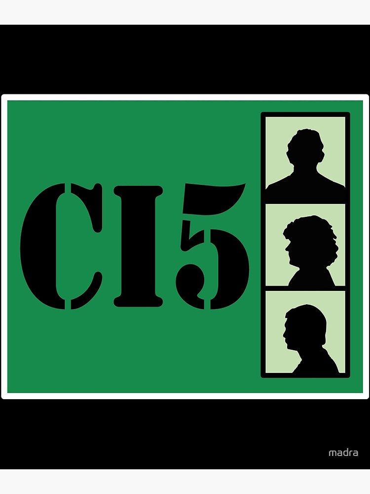 "CI5 - The Professionals - Bodie & Doyle" Poster for Sale by madra ...