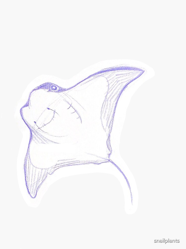 "Stingray" Sticker for Sale by snailplants | Redbubble