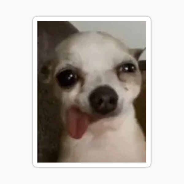 "Dog meme" Sticker by Mememasos | Redbubble