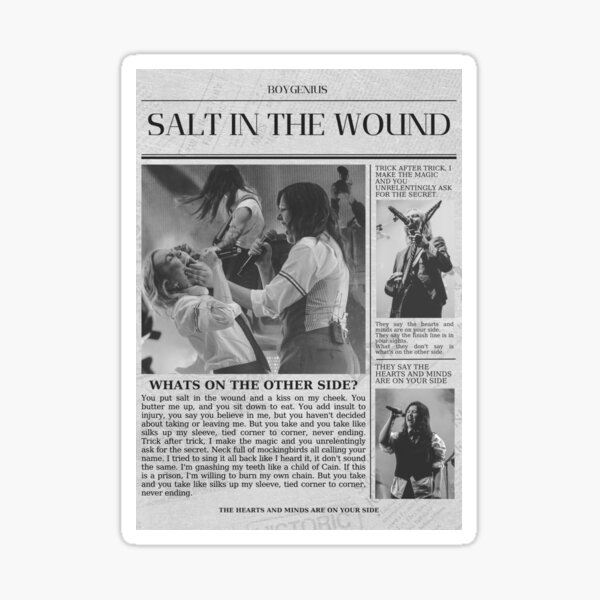 "Salt In The Wound - Boygenius" Sticker for Sale by susannah0 | Redbubble