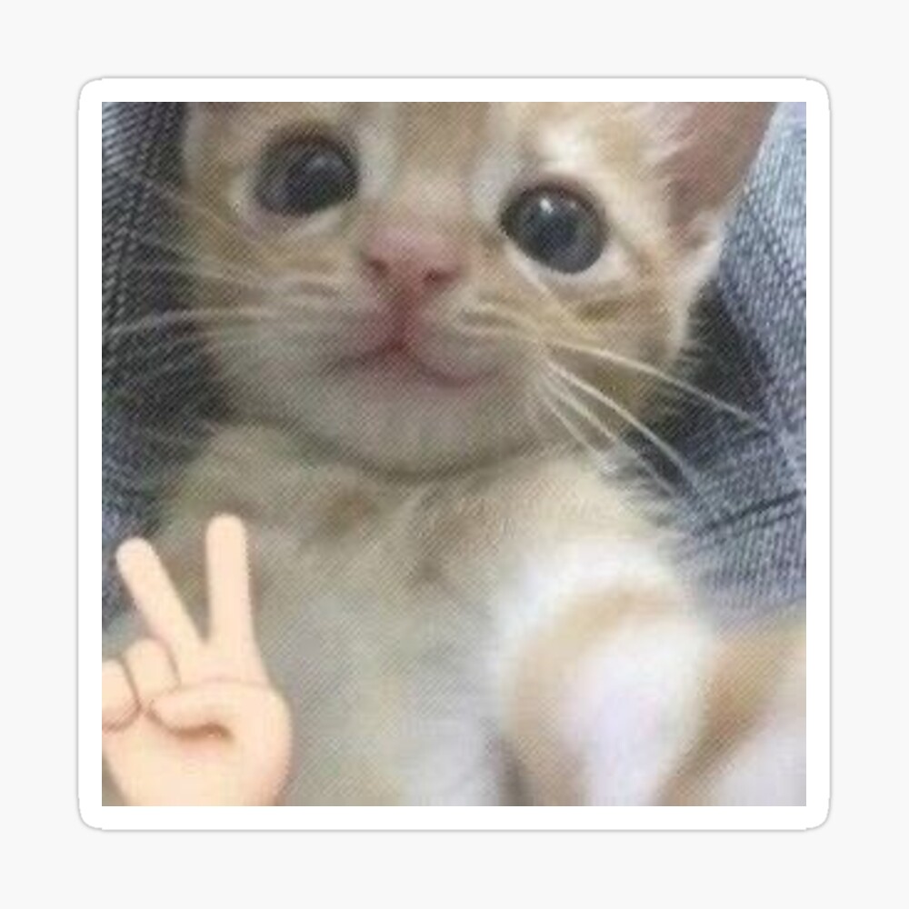 Cat Peace Sign Illustration Of A Cat Making A Peace Sign With...