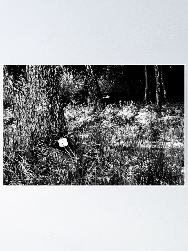 "Forest socket" Poster by ekacas | Redbubble