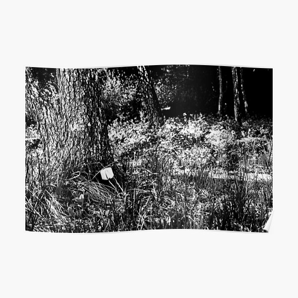 "Forest socket" Poster by ekacas | Redbubble