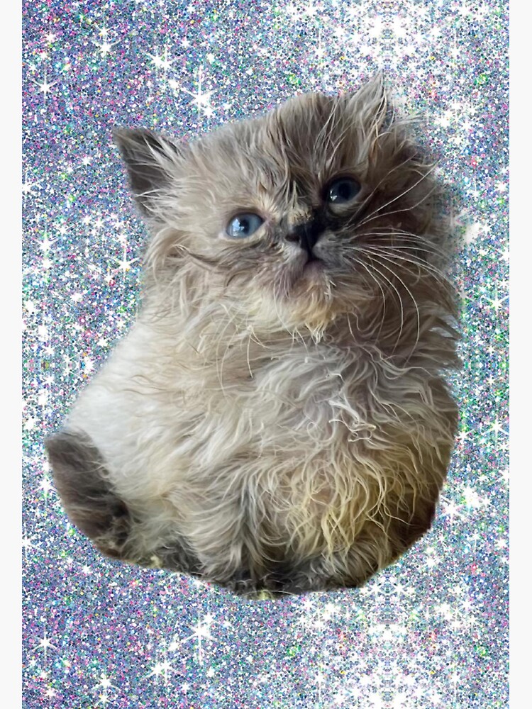 "Sparkle Beignet" Sticker for Sale by TinyTimShoppe | Redbubble