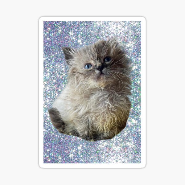 "Sparkle Beignet" Sticker for Sale by TinyTimShoppe | Redbubble