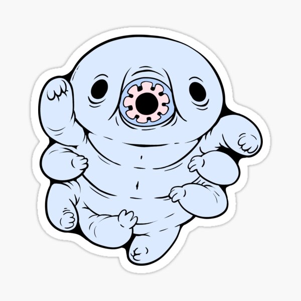 "Tardigrade" Sticker for Sale by bogleech | Redbubble