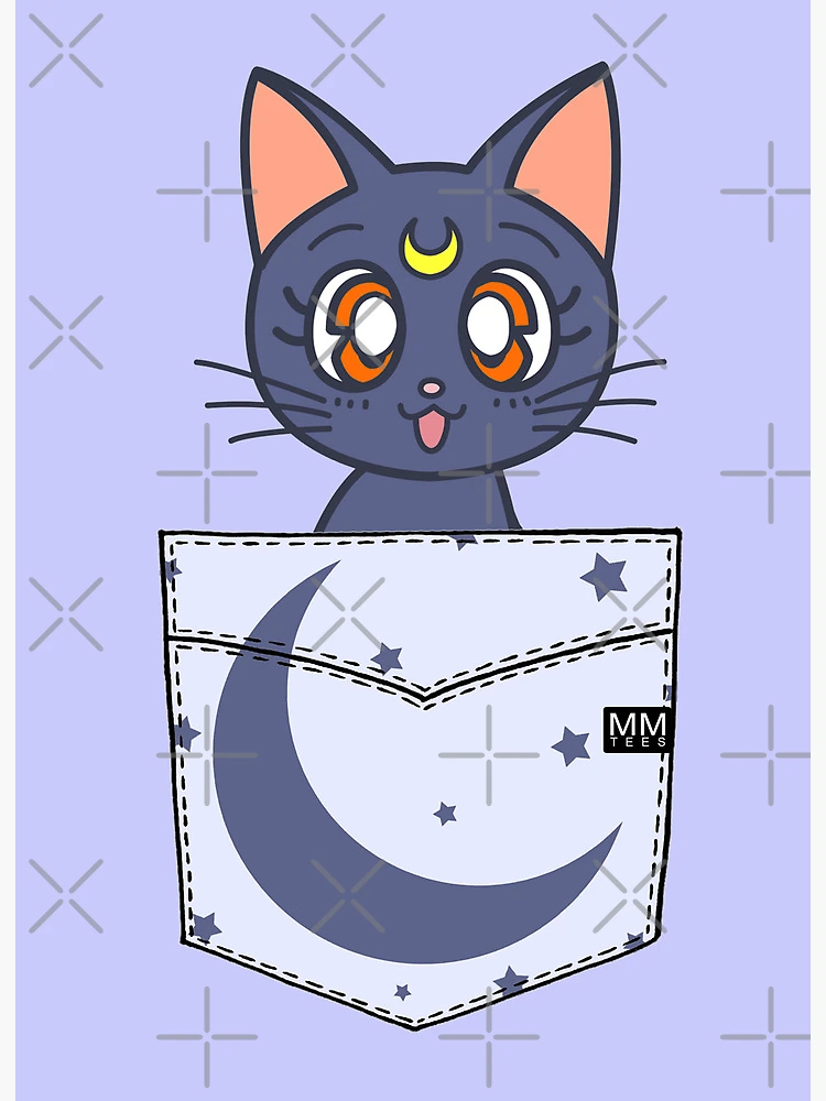 Luna Cat