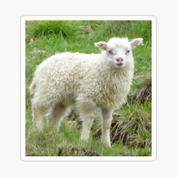 Passion4Travel Shop | Redbubble