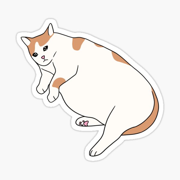 "Sad Cat Meme Sticker" Sticker for Sale by MausHausArt | Redbubble