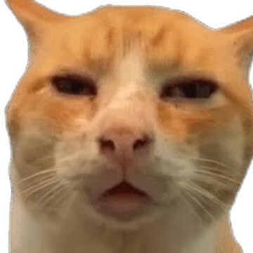 "HUH Cat Emote" Sticker for Sale by StreamMemes | Redbubble