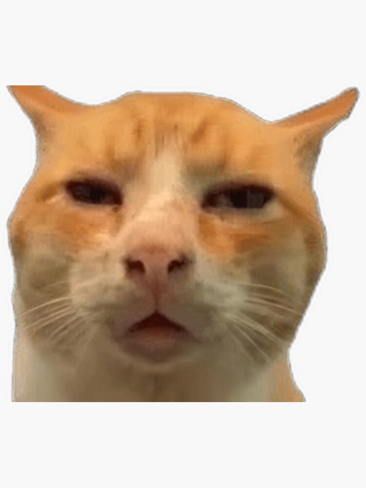 "HUH Cat Emote" Sticker for Sale by StreamMemes | Redbubble