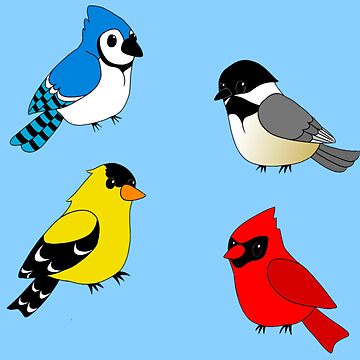 "Backyard Birds" Sticker for Sale by ollie-shop | Redbubble
