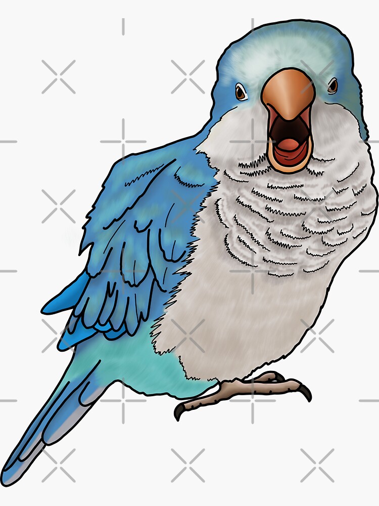 "Screaming Blue Quaker Parrot" Sticker for Sale by neesheew | Redbubble