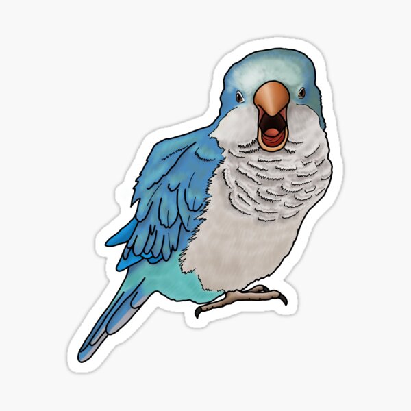 "Screaming Blue Quaker Parrot" Sticker for Sale by neesheew | Redbubble