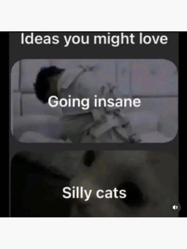 "Going Insane Silly Cat Pinterest Meme " Sticker for Sale by ...