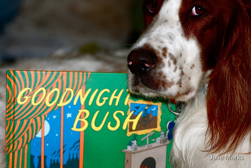 "Goodnight Bush" by Julie Marks | Redbubble