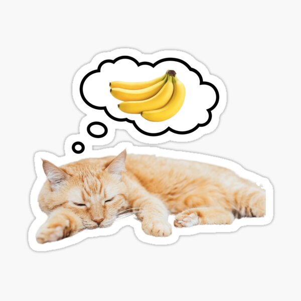 "banana cat meme, Crying Banana Cat" Sticker for Sale by Razik designer ...