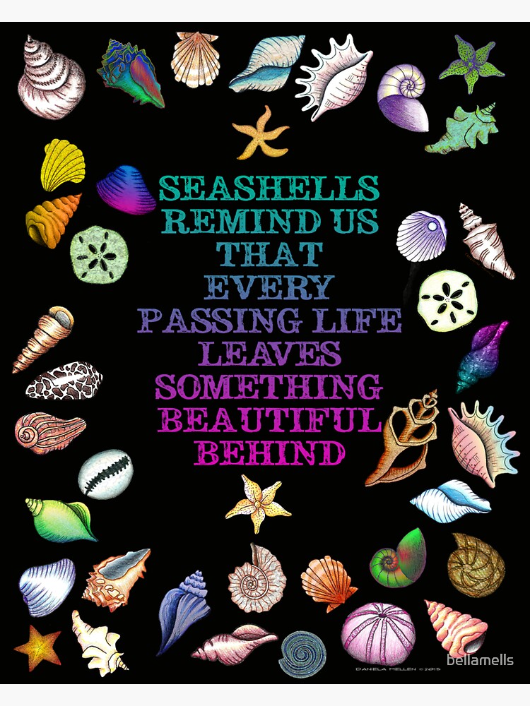 "Seashells Poster" Sticker for Sale by bellamells | Redbubble