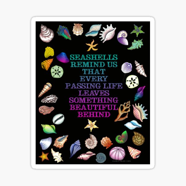 "Seashells Poster" Sticker for Sale by bellamells | Redbubble