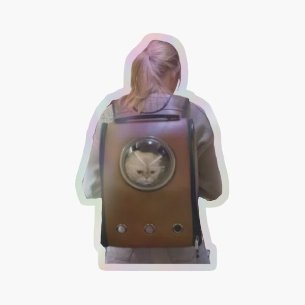 Taylor Cat Backpack Sticker for Sale by deliadrawsalot Redbubble