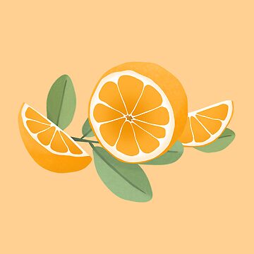 "Orange fresh from the tree, cut into wedges" Sticker by AliciaDiamond ...