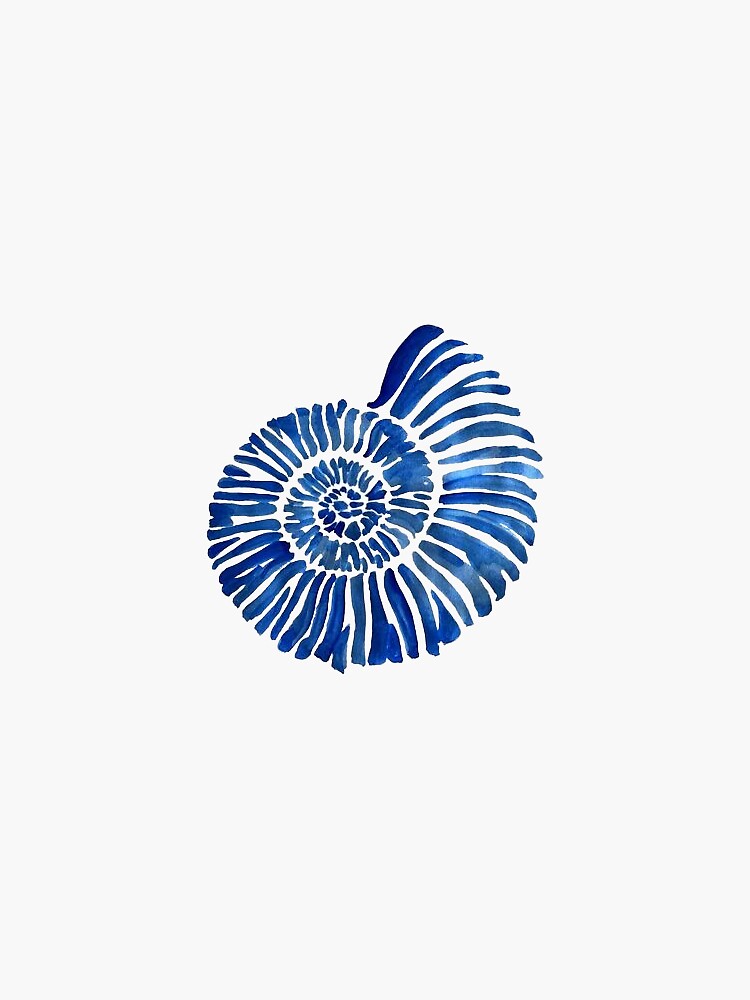 "seashell sticker" Sticker for Sale by lucca rodriguez | Redbubble