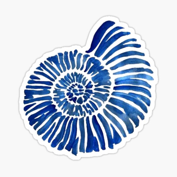 "seashell sticker" Sticker for Sale by lucca rodriguez | Redbubble
