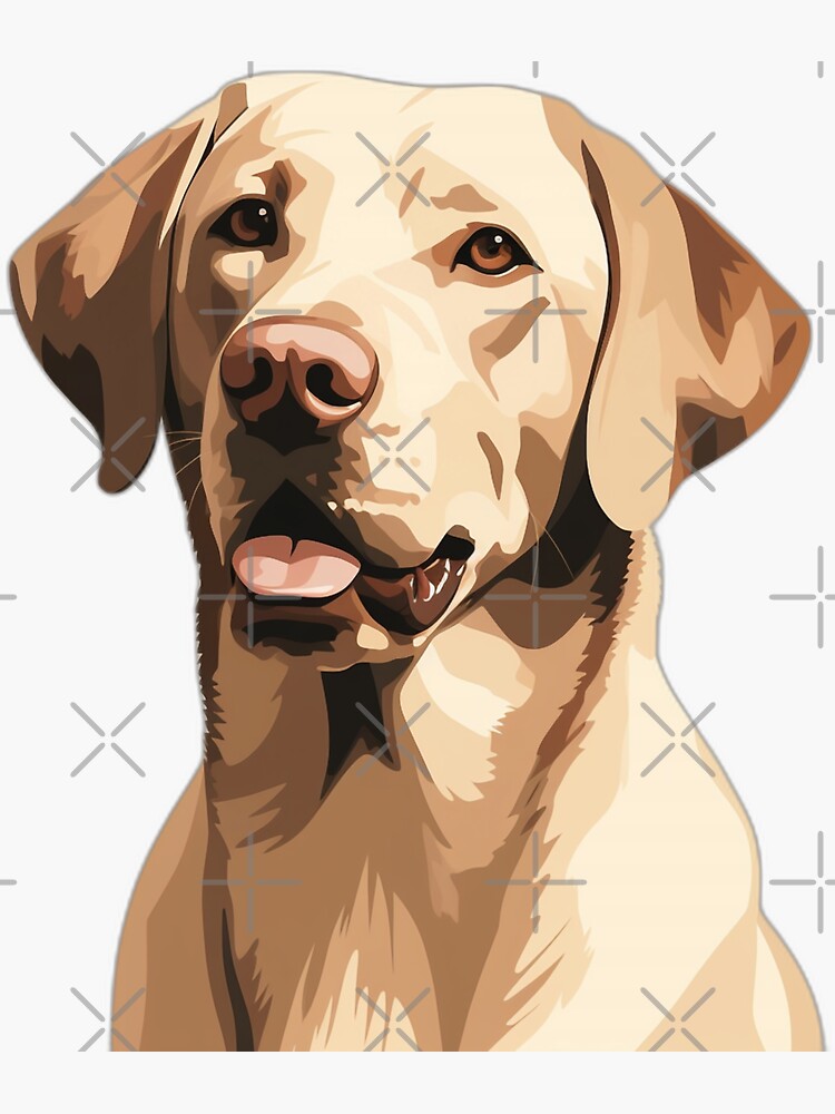 "A minimalist of a soft caramel cream of Labrador Retriever friendly ...
