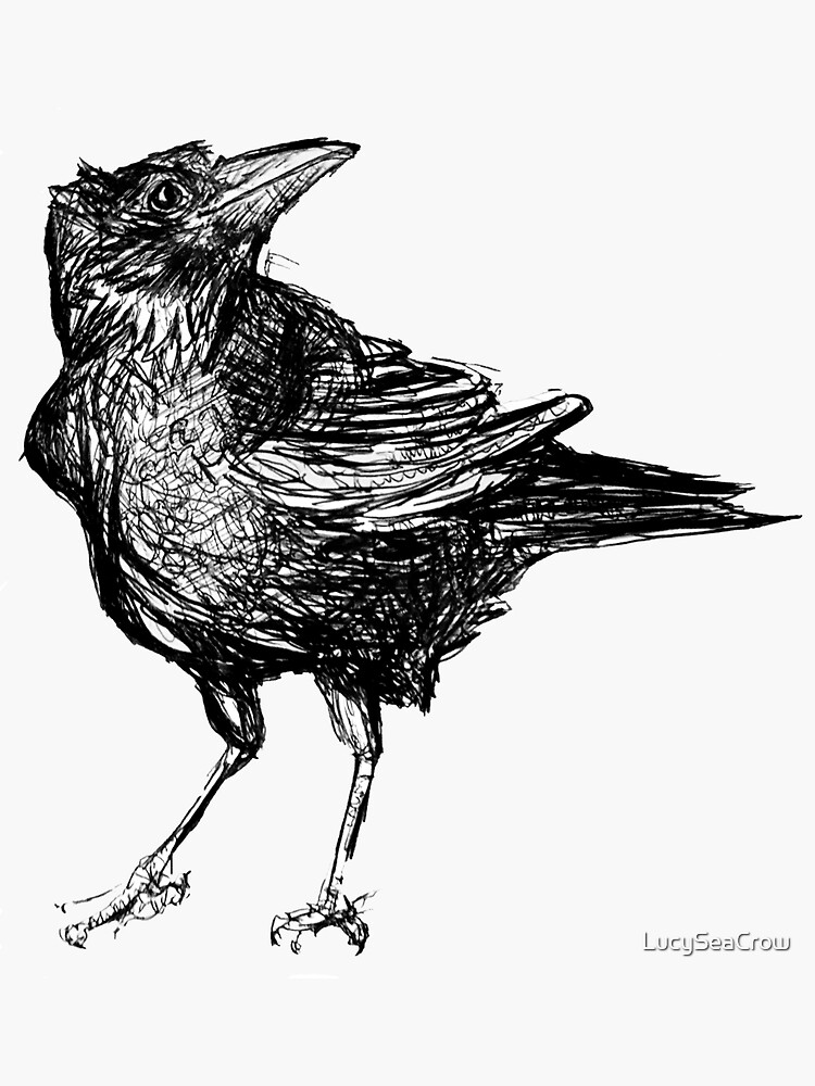 "Crow - ink drawing" Sticker for Sale by LucySeaCrow | Redbubble